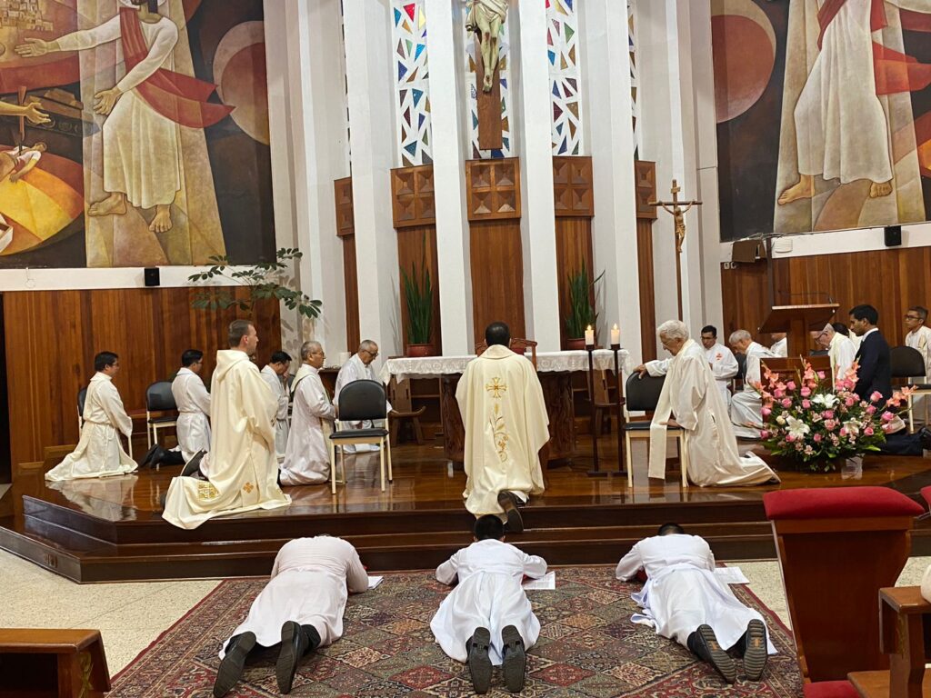 Vida de servicio y devoción: Profesiones perpetuas en la solemnidad del ...
